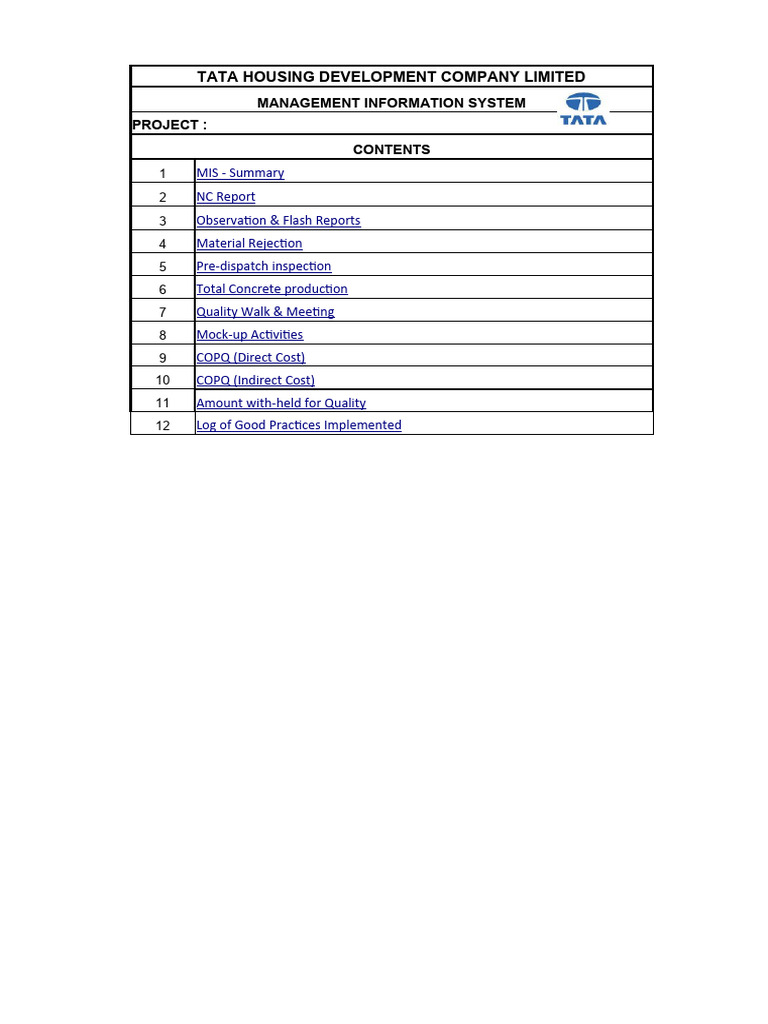 MIS Template | PDF | Business