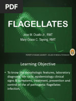 Blotter Test Method | PDF | Seed | Germination