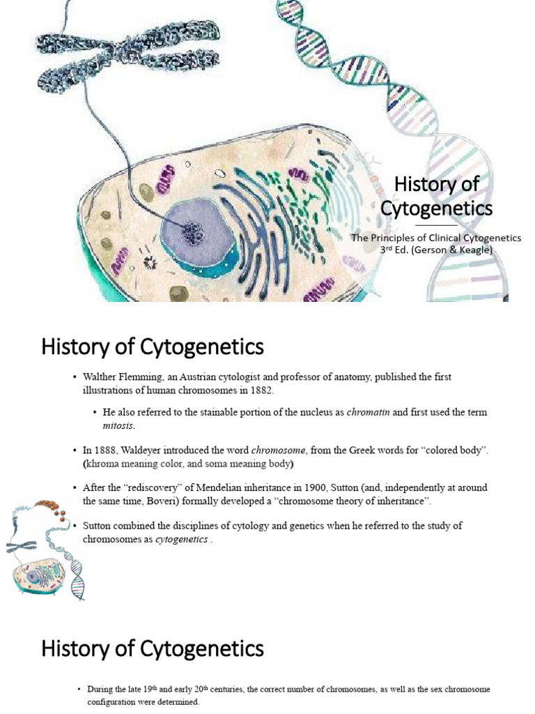 Module 1.1 History of Cytogenetics | PDF | Cytogenetics | Chromosome