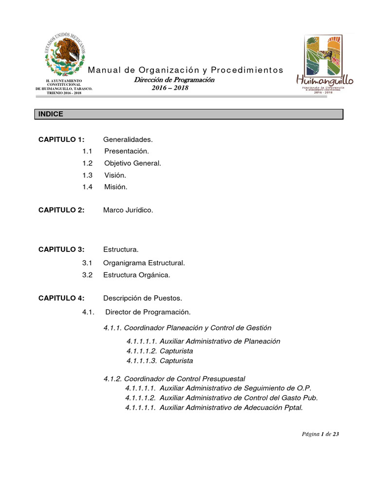 Manual de Organizacion y Funciones Direccion de Programacion | PDF | Presupuesto | Planificación