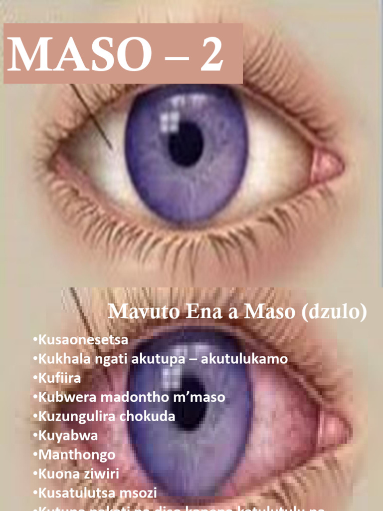 Maso - 2 | PDF | Lifestyle