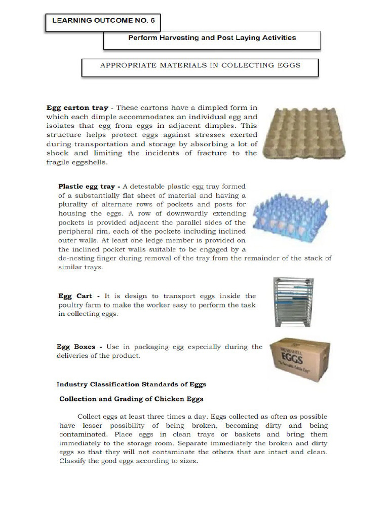 Parts of An Egg | PDF