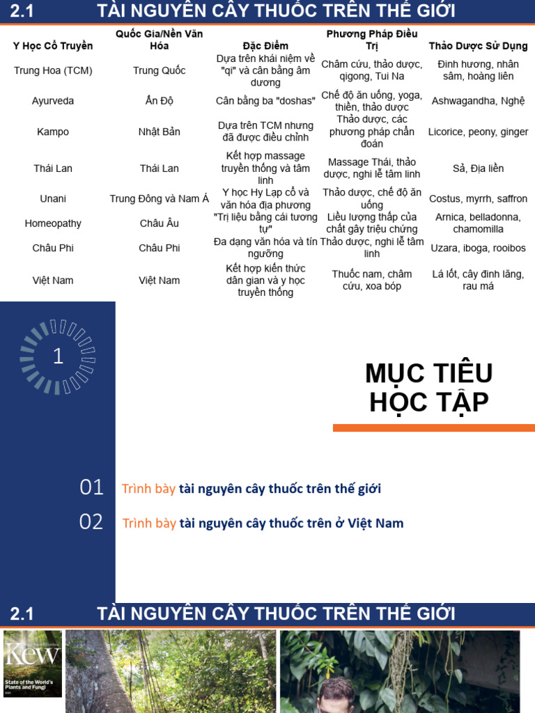 2. TNCT Trên Thế Giới Và ở VN | PDF