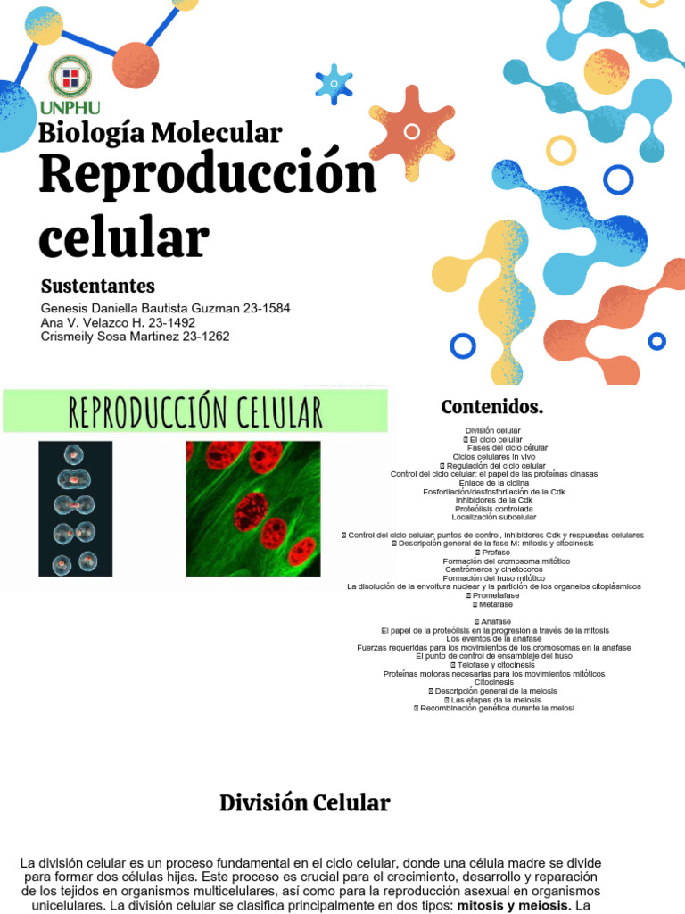 Presentación Científica Biología Molecular Ilustraciones Coloridas Fondo Blanco - PDF ...