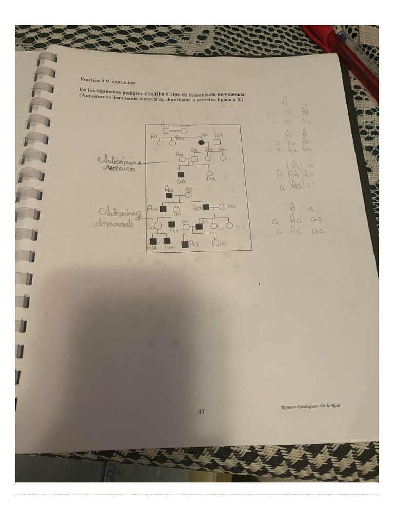 Última Práctica | PDF
