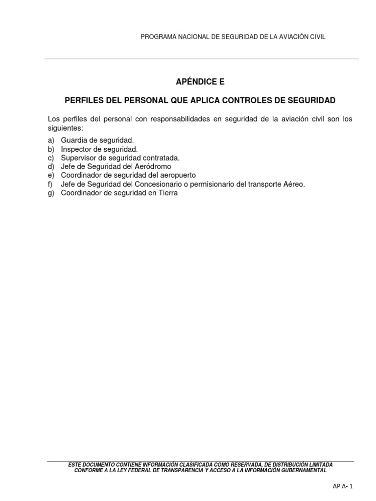 AP Ndice E Perfiles de Personal Con Responsabilidad en Seguridad de La Aviaci N Civil | PDF ...
