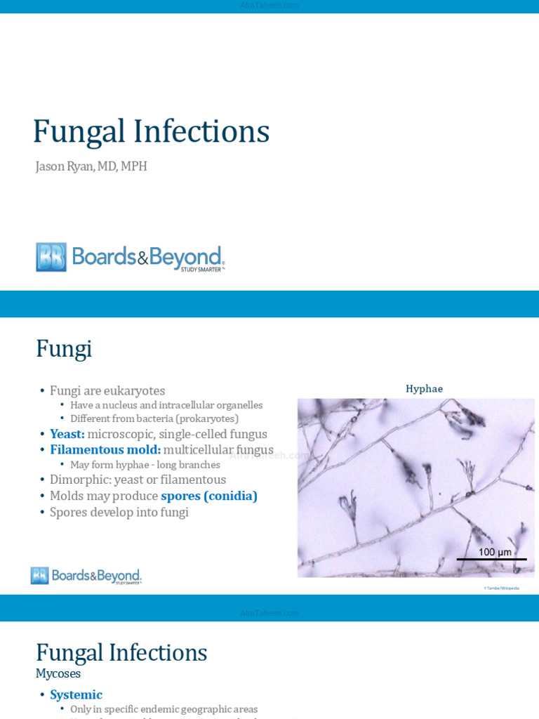 Fungal Infections Atf | PDF | Health Sciences | Mycology