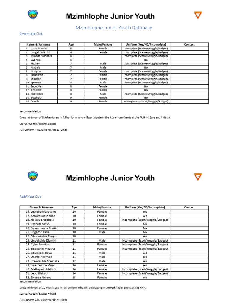 Mzimhlophe Junior Youth Database | PDF | Scouting | Youth Movements