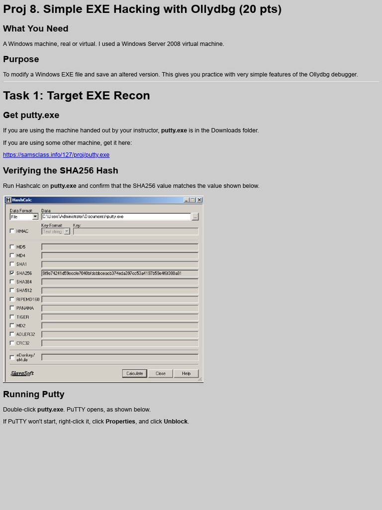 Proj 8. Simple EXE Hacking With Ollydbg 20 Pts | PDF | Assembly ...