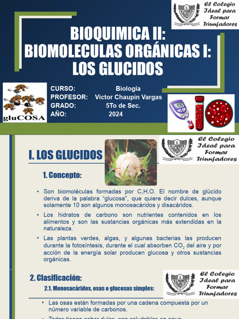 Bioquimica Ii - 26 - 04 | PDF | Carbohidratos | Glucosa