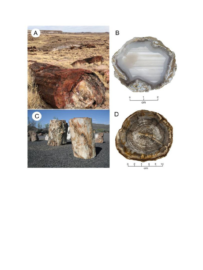 Chalcedon Mineral | PDF