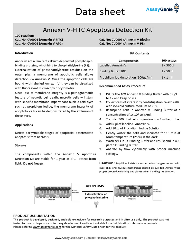 CV0001 - Annexin V Apoptosis Detection Kit | PDF | Apoptosis ...