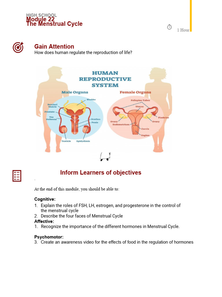 Science 10 Module 22 | PDF | Menstrual Cycle | Human Reproduction