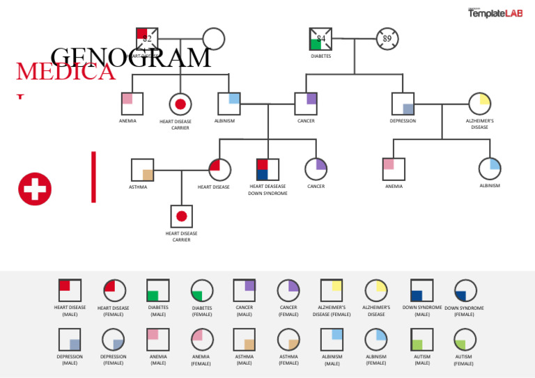 Medical-Genogram-Template | PDF