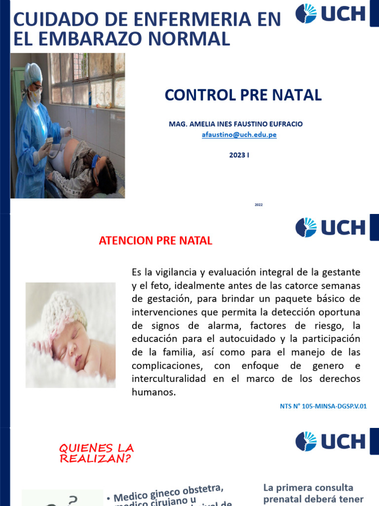 Cuidado de Enfermería en Embarazo Normal | PDF | El embarazo ...