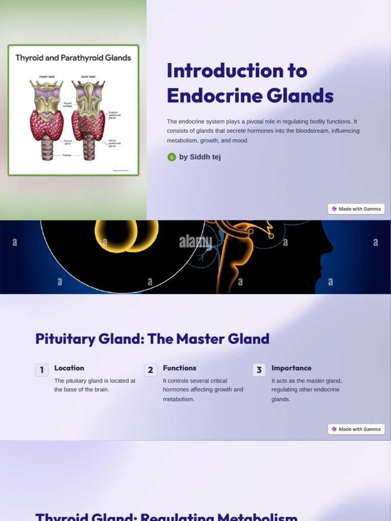 Introduction To Endocrine Glands | PDF | Endocrine System | Physiology
