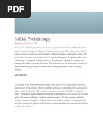 Palpation Techniques for Lower Extremities | PDF | Foot | Knee
