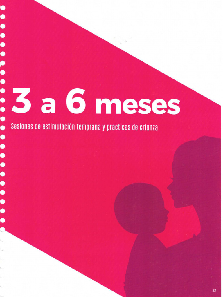 Sesiones ET 3 A 6 Meses | PDF