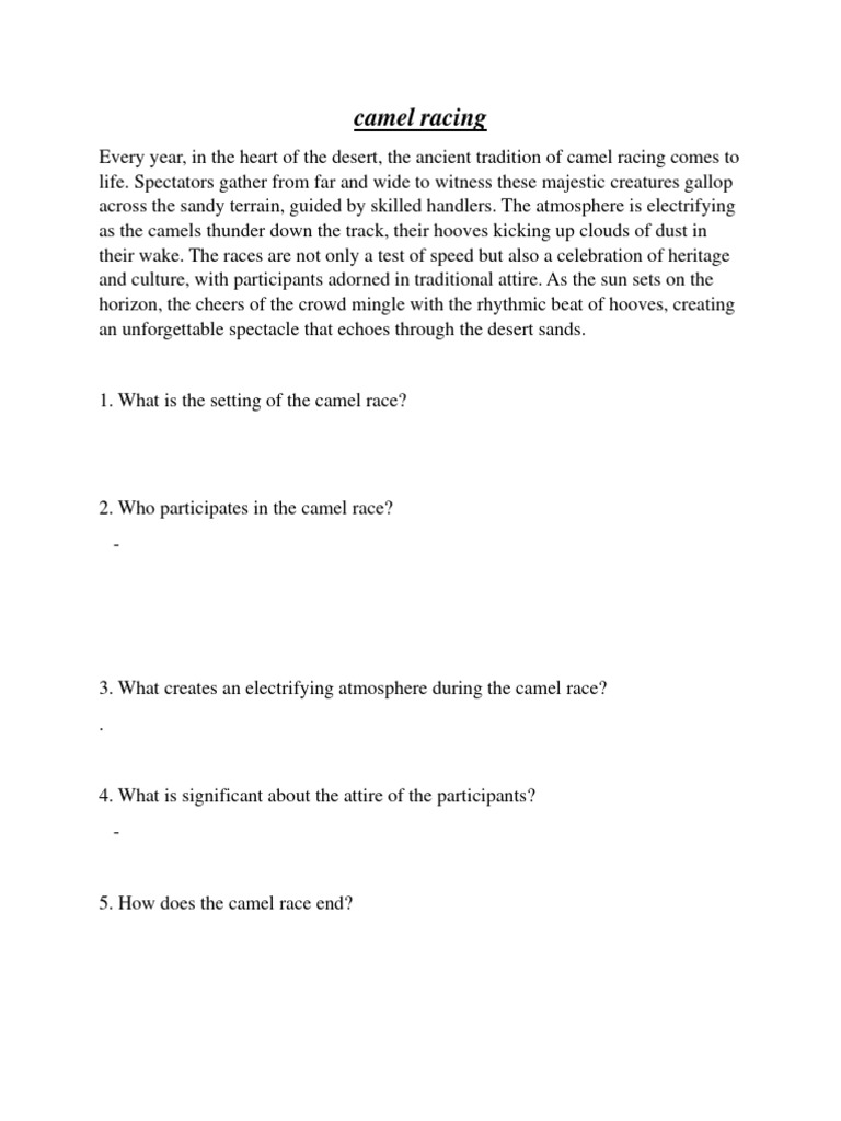 Paragraphs | PDF | Business | Travel