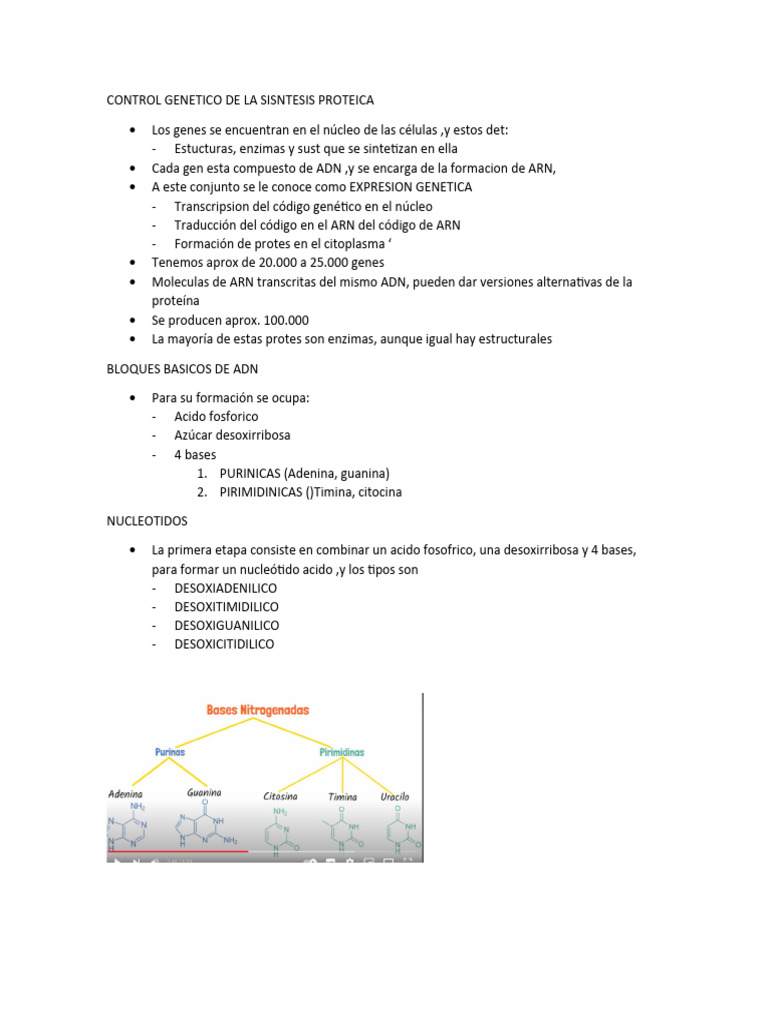 Control Genetico de La Sisntesis Proteica | PDF | Rna | Adn