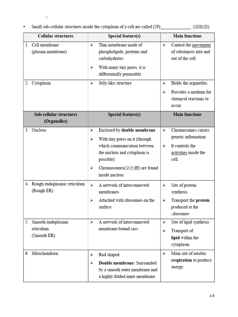 Sub-Cellular Structures and Functions | PDF | Cell (Biology ...