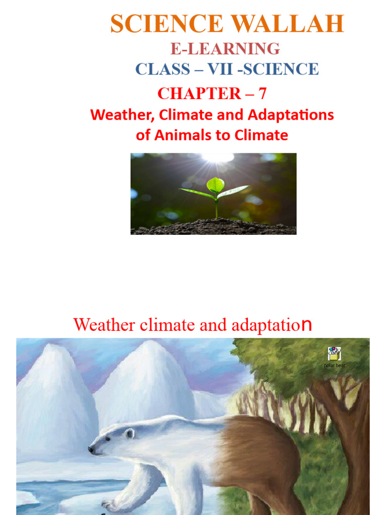 Weather, Climate, and Animal Adaptations | PDF | Rain | Humidity