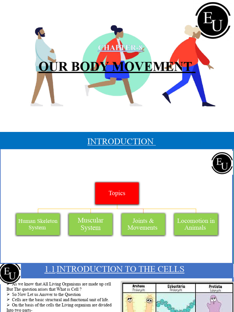 Our Body Movements | PDF | Vertebral Column | Skeleton
