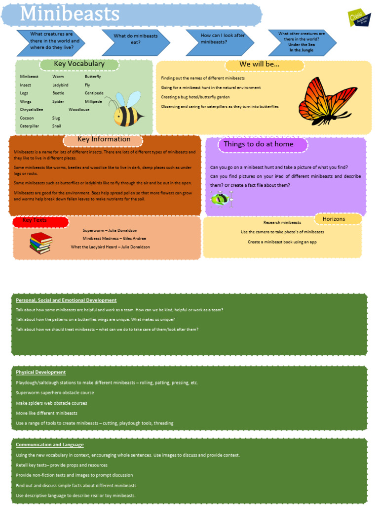 Minibeasts Knowledge Organiser WALES Class 30.03.22 | PDF | Insects | Butterfly