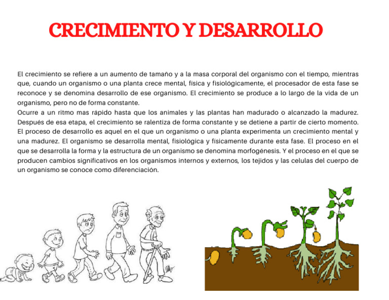 BIOLOGIA - Crecimiento Y Desarrollo | PDF