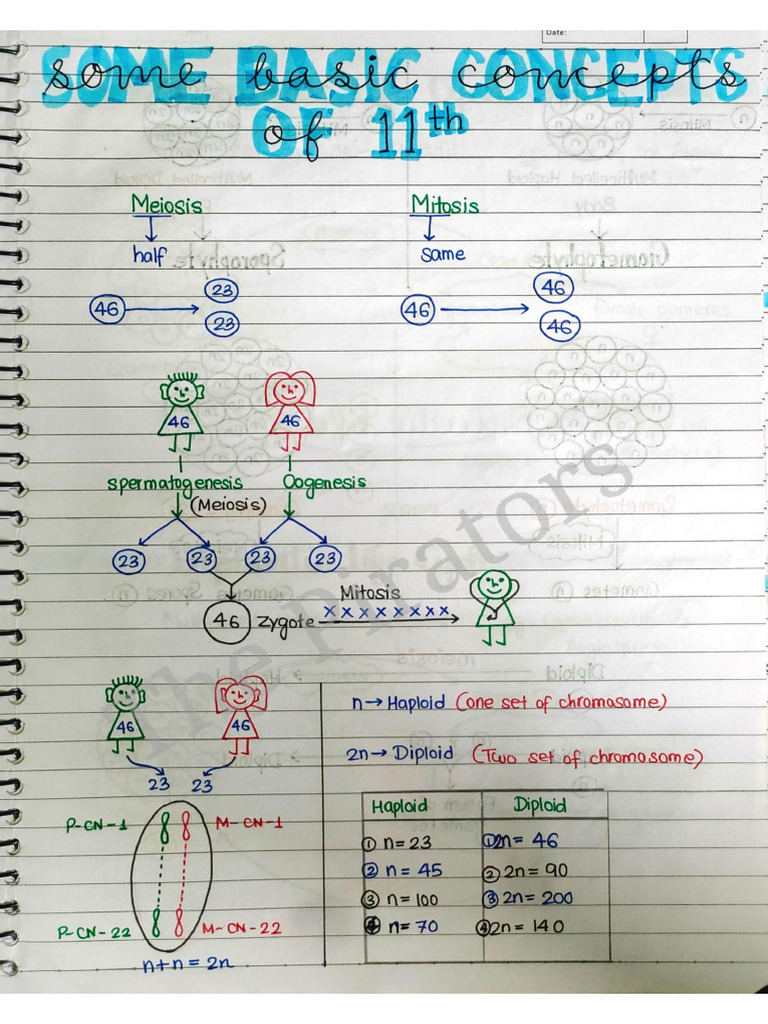 SOME BASIC CONCEPTS OF CLASS 11th (Handwritten Notes) | PDF