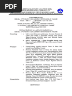 Edaran RKAS Perubahan 2025 | PDF