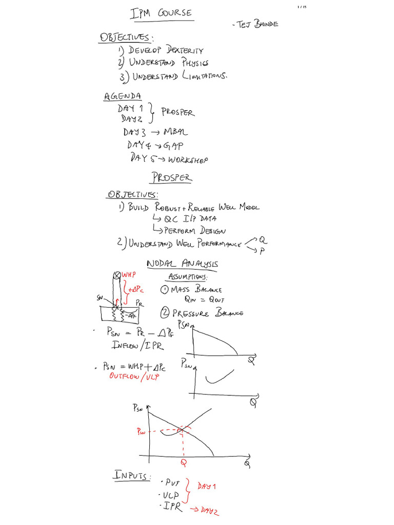 IPM Notes | PDF