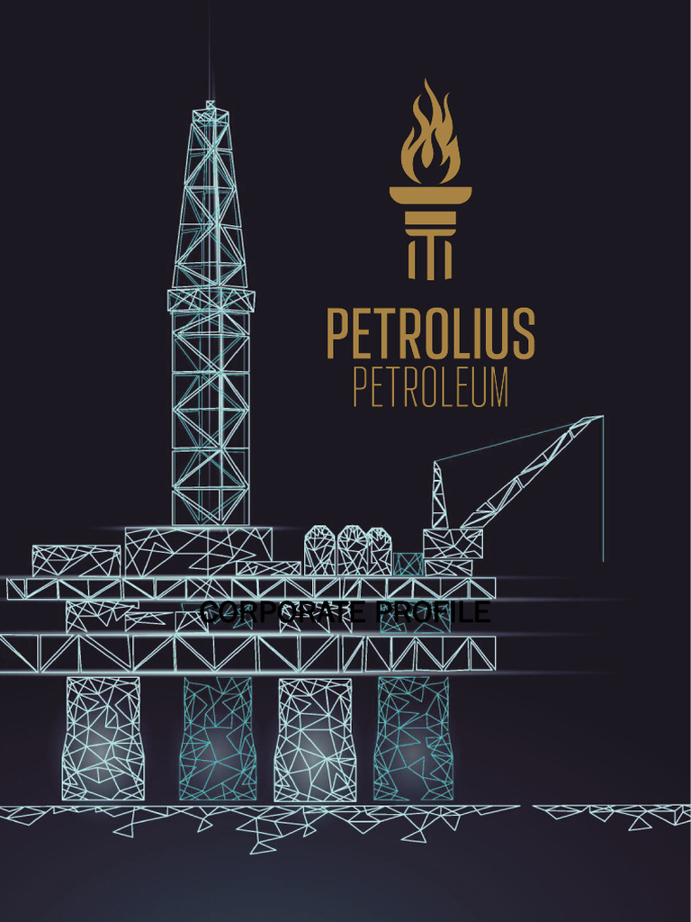 PP CP | PDF | Petroleum | Supply Chain
