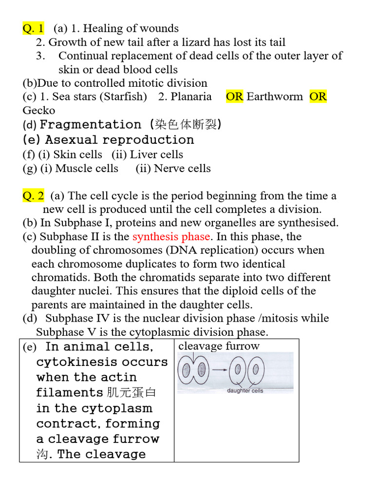 SR 1 CH 5 Cell Division 2024 Answer | PDF | Meiosis | Mitosis