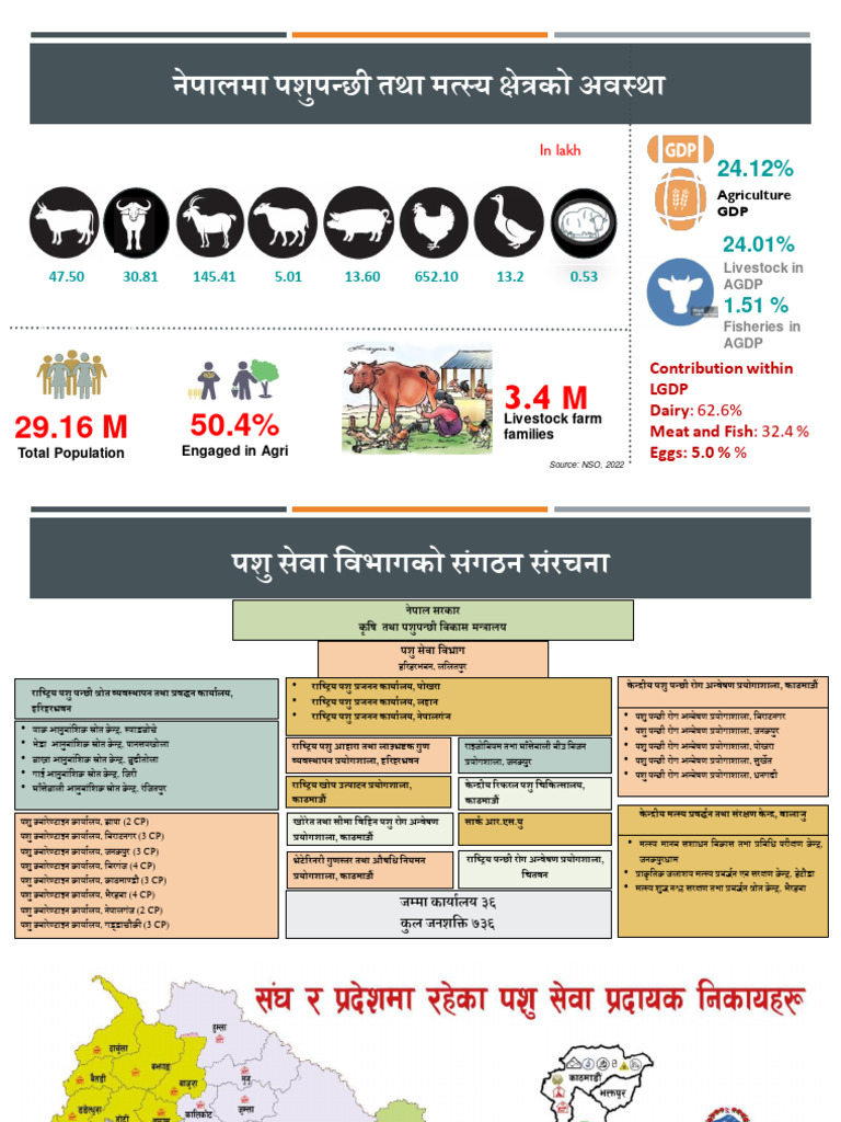 DLS Final 2080 81 | PDF