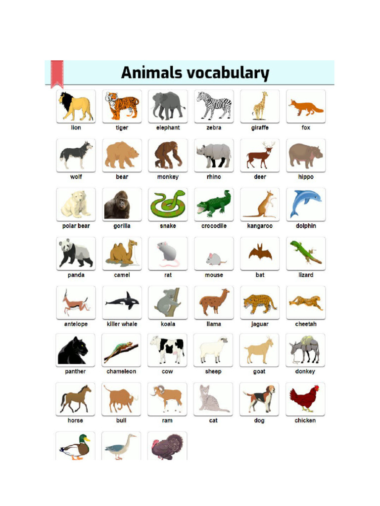 Unit 3 Animals | PDF | Predation | Mammals