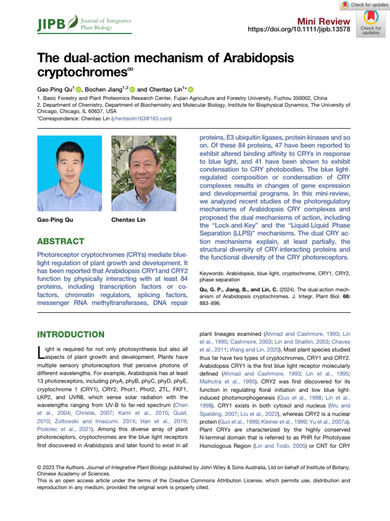 JIPB - 2023 - Qu - The Dual Action Mechanism of Arabidopsis Cryptochromes | PDF | Protein ...