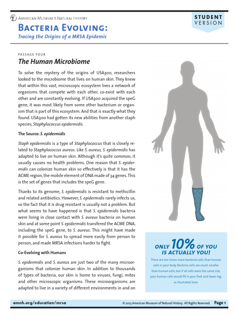 Part 4 The Human Microbiome Article For Students | PDF | Staphylococcus ...