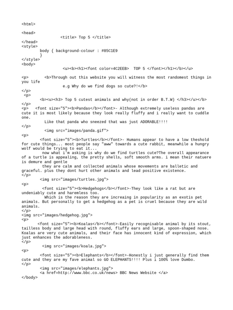 Website Coding | PDF