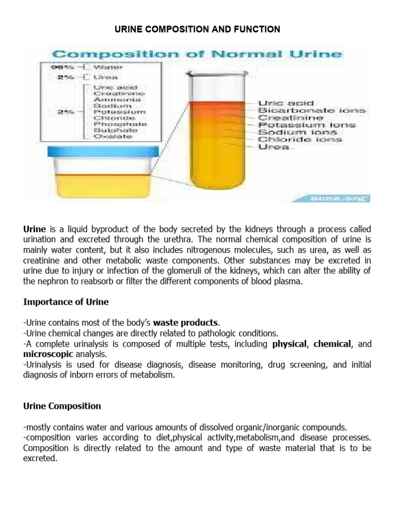 Urine Composition and Function | PDF | Kidney | Genitourinary System
