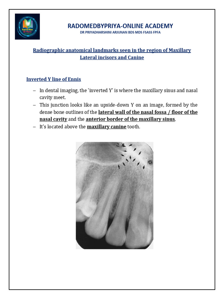 Day 4 Normal Anatomical Landmarks | PDF
