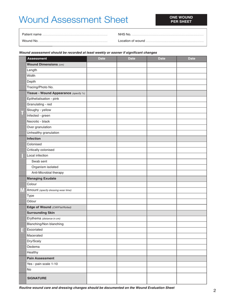 Wound Assessment Sheet Care Plan p23 | PDF | Wound | Causes Of Death