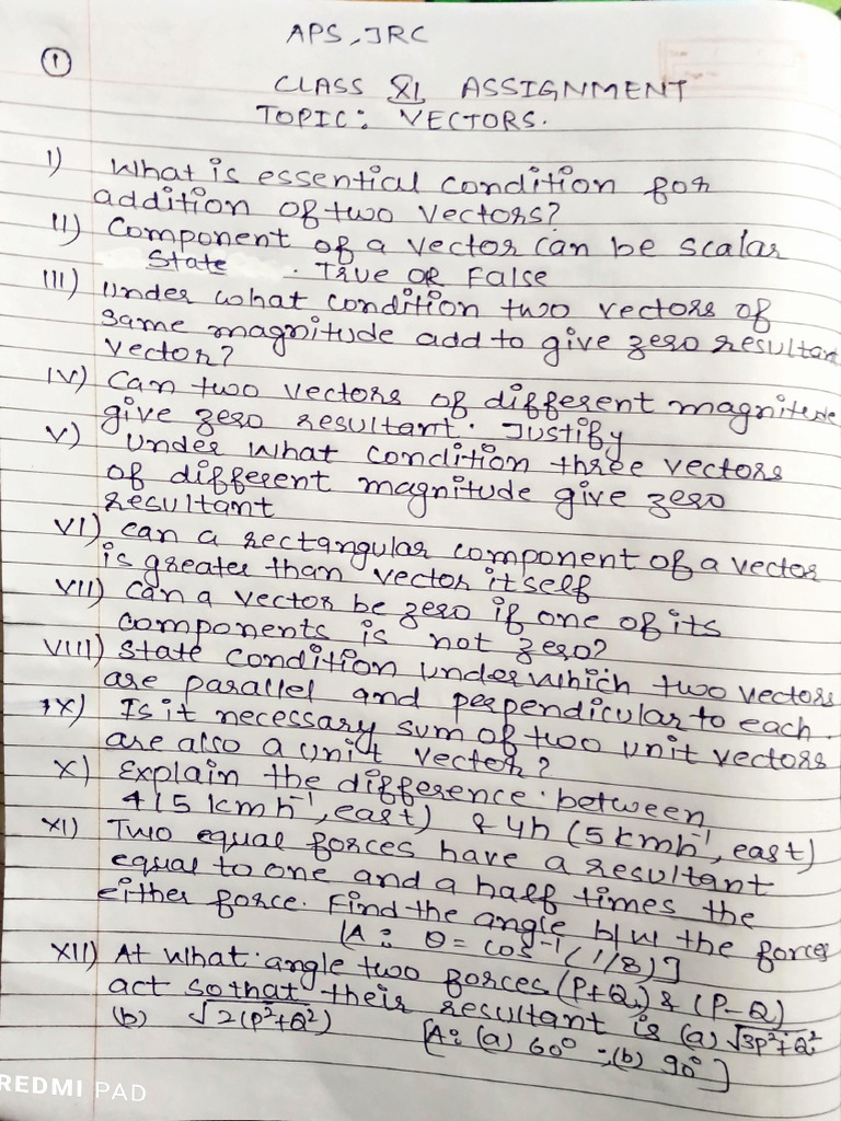 Vector Assignment | PDF