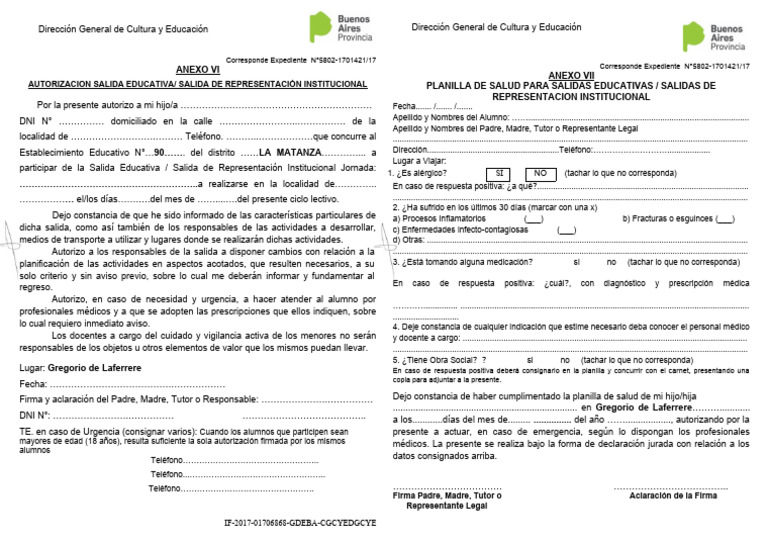 Anexo VI y VII Tamaño A4 | PDF