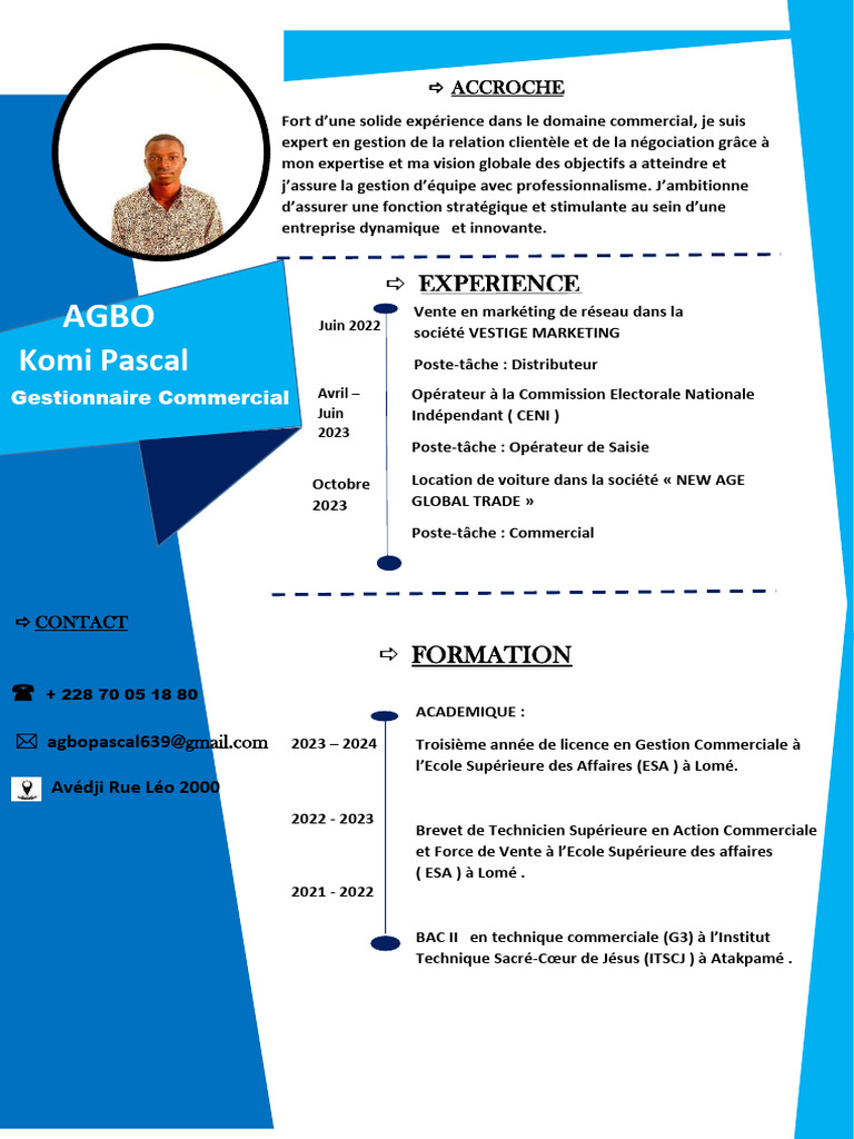 CV de Komi Pascal : Expert Commercial | PDF | Évolution de carrière