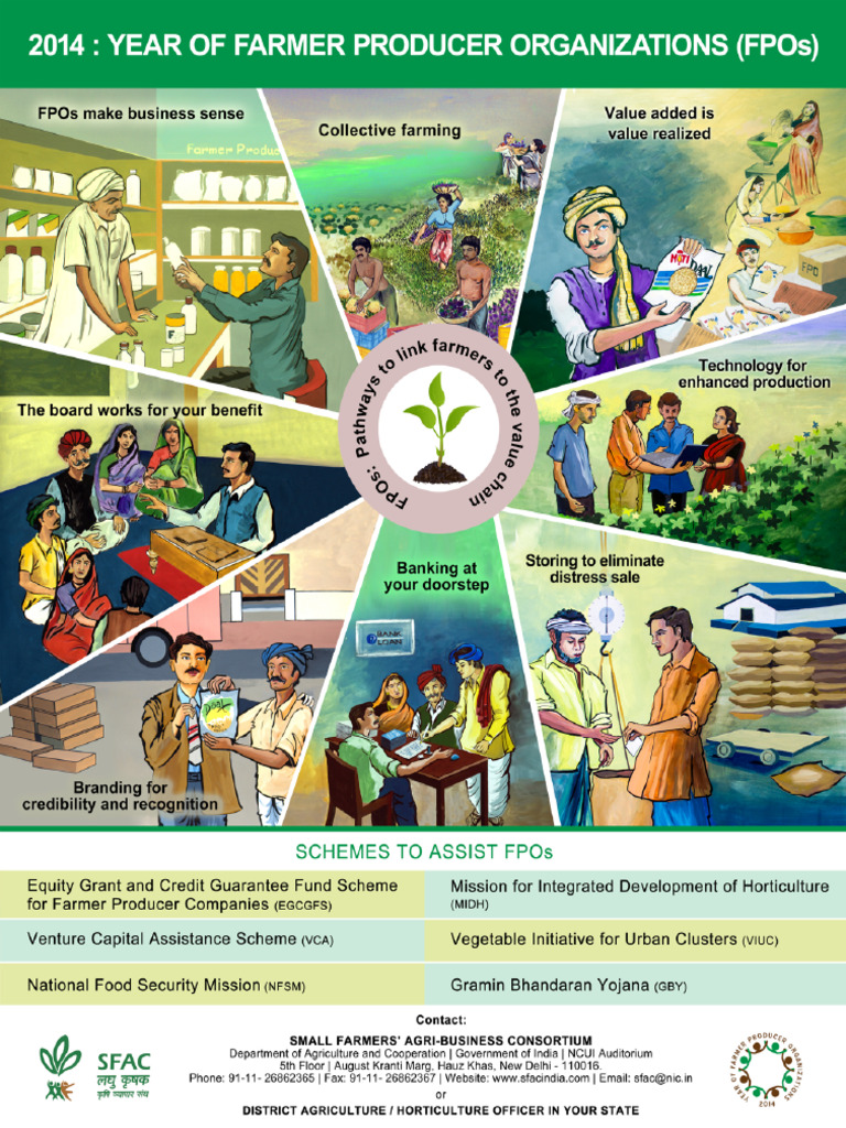Year of FPO Poster | PDF