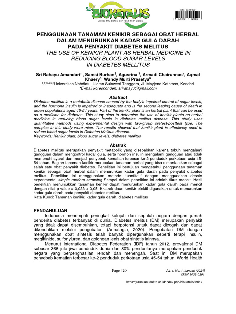 Jurnal DM2 | PDF | Kesehatan Holistik