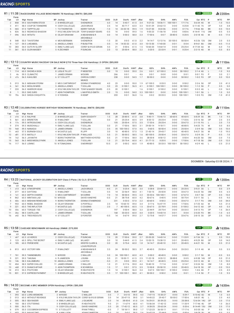 RS Custom Race Guide PDF | PDF