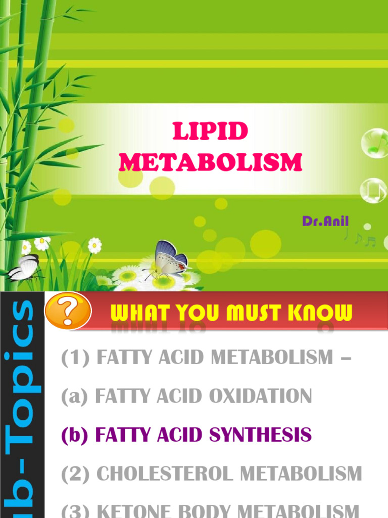 4.fa Syn | PDF | Biosynthesis | Nutrients