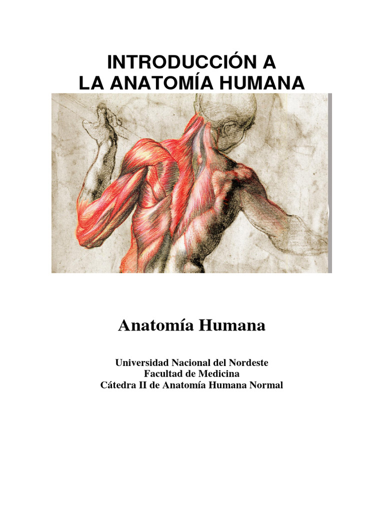 Generalidades de Anatomia 2 | PDF | Hueso | Términos anatómicos de ubicación